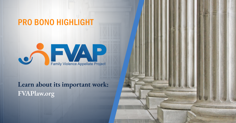 Supporting FVAP to Shield Domestic Violence Survivors and Their ...